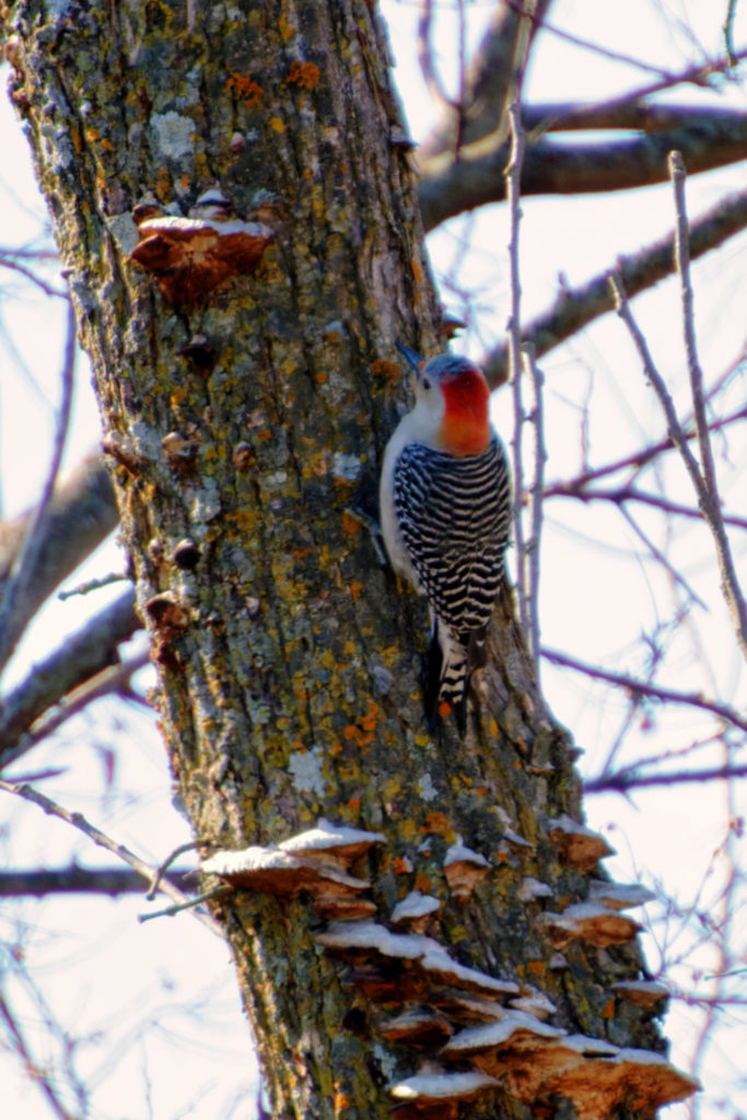 Homepage - emilyjfrench.com